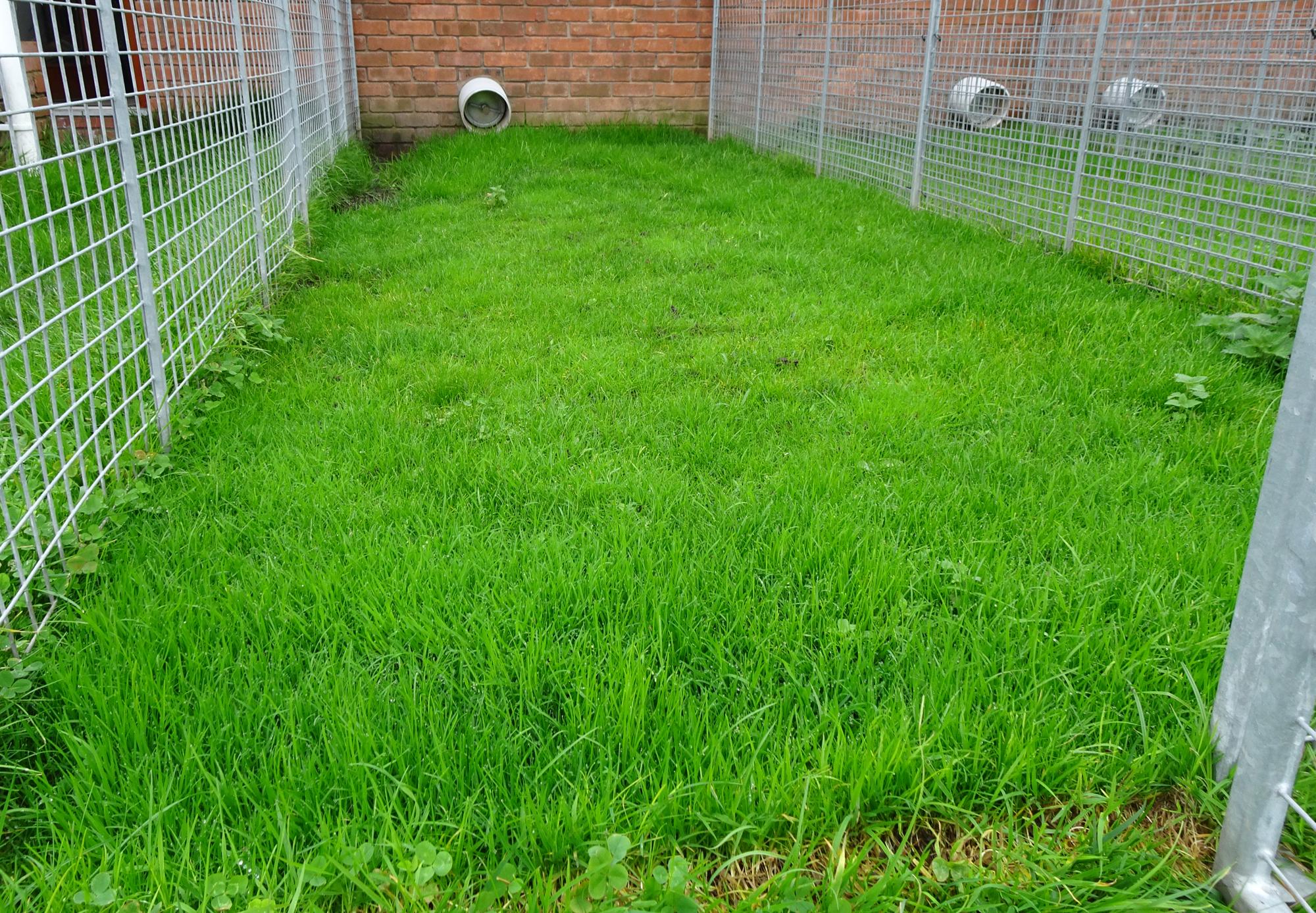 Outdoor Pens Resting. | My Rabbit Family Blog